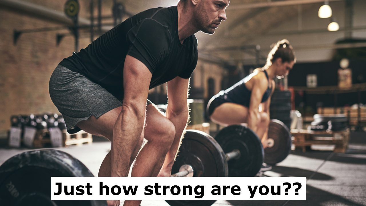 You and your Character Strengths